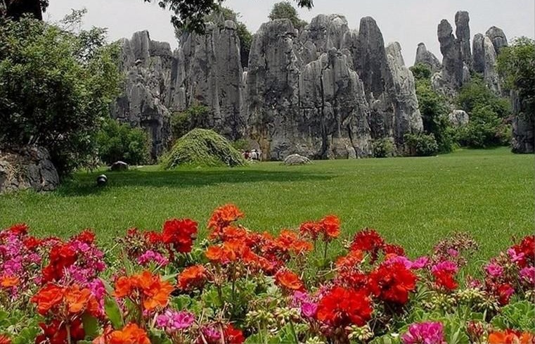 GENERAL BLOG: Amazing Stone Forest Nature Photography
