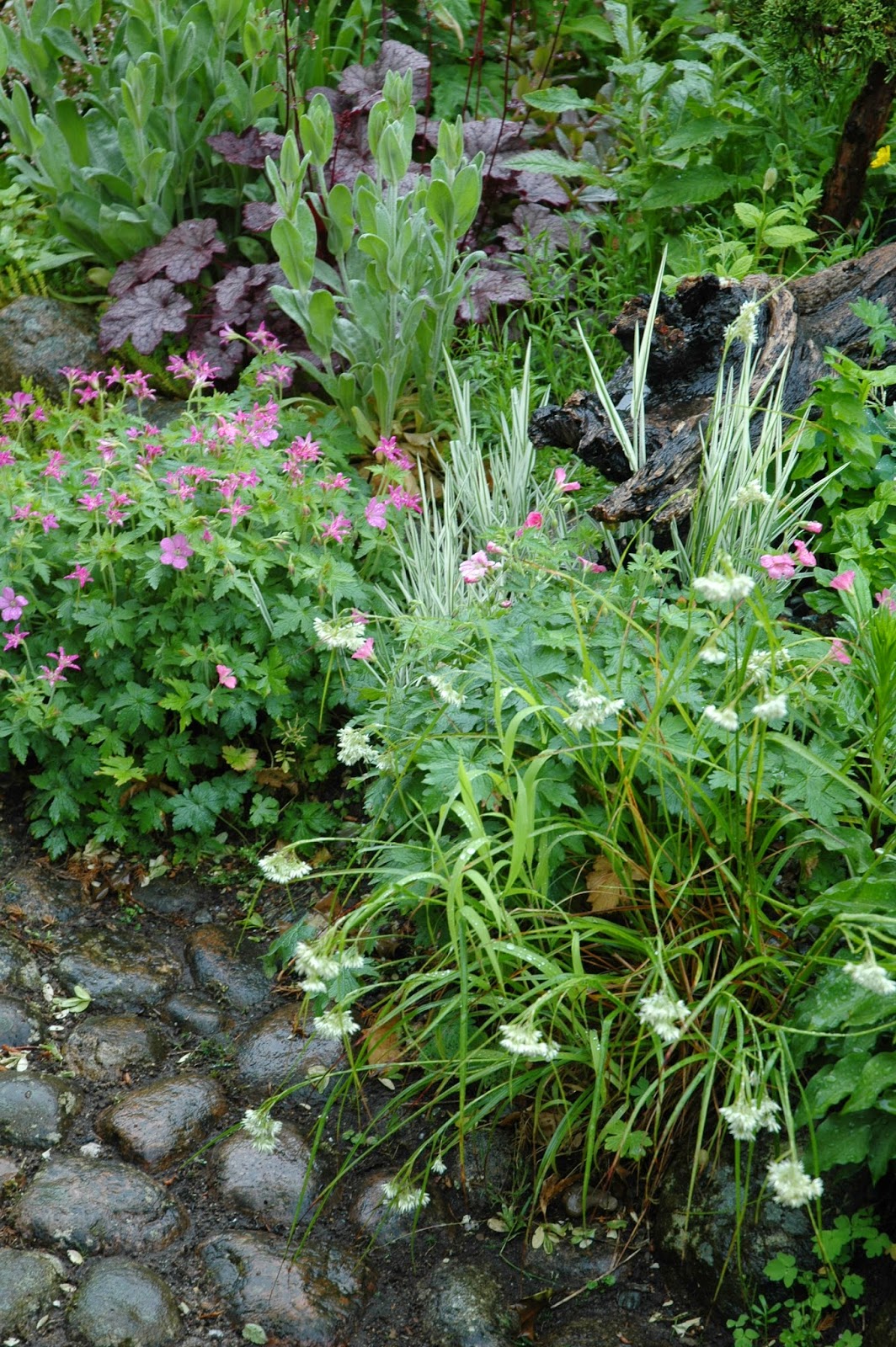 HAVETID: Havens poesi - poesiens have.