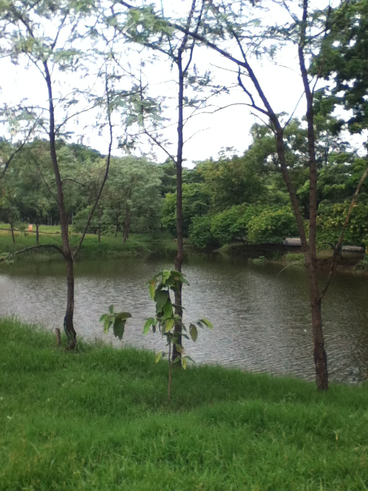 Trailbirder: Interlude 2: Suan Rot Fai (Railroad Park) in Bangkok