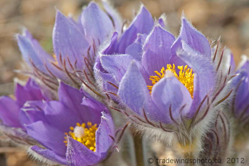 Claus Vogel Photography: April 2012