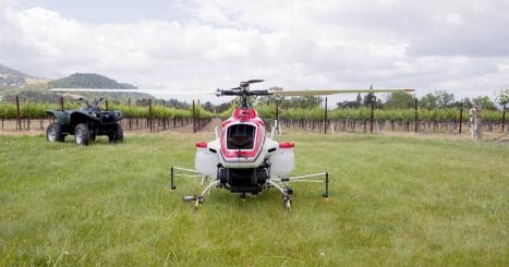Kathryn's Report: Wine grape drone flying over California vineyards