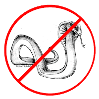 The Robinsons: Hawaiian Trivia