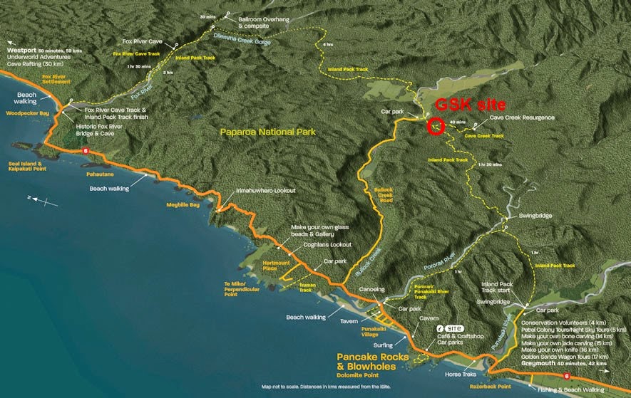 A Conservationist's Birding Blog: New Zealand February - June 2015 ...