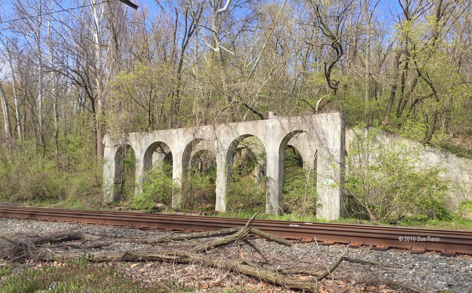 Sue Reno Studio: The White Cliffs of Conoy, Redux