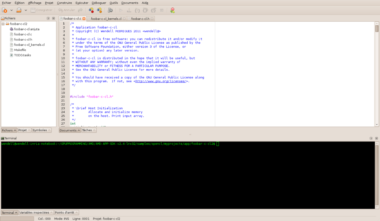 GPU/OpenCL Modeling: Anjuta Project Wizards for AMD, NVidia and Intel ...