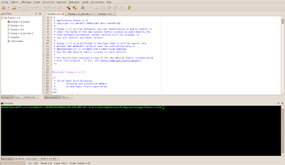 GPU/OpenCL Modeling: Anjuta Project Wizards for AMD, NVidia and Intel OpenCL SDK
