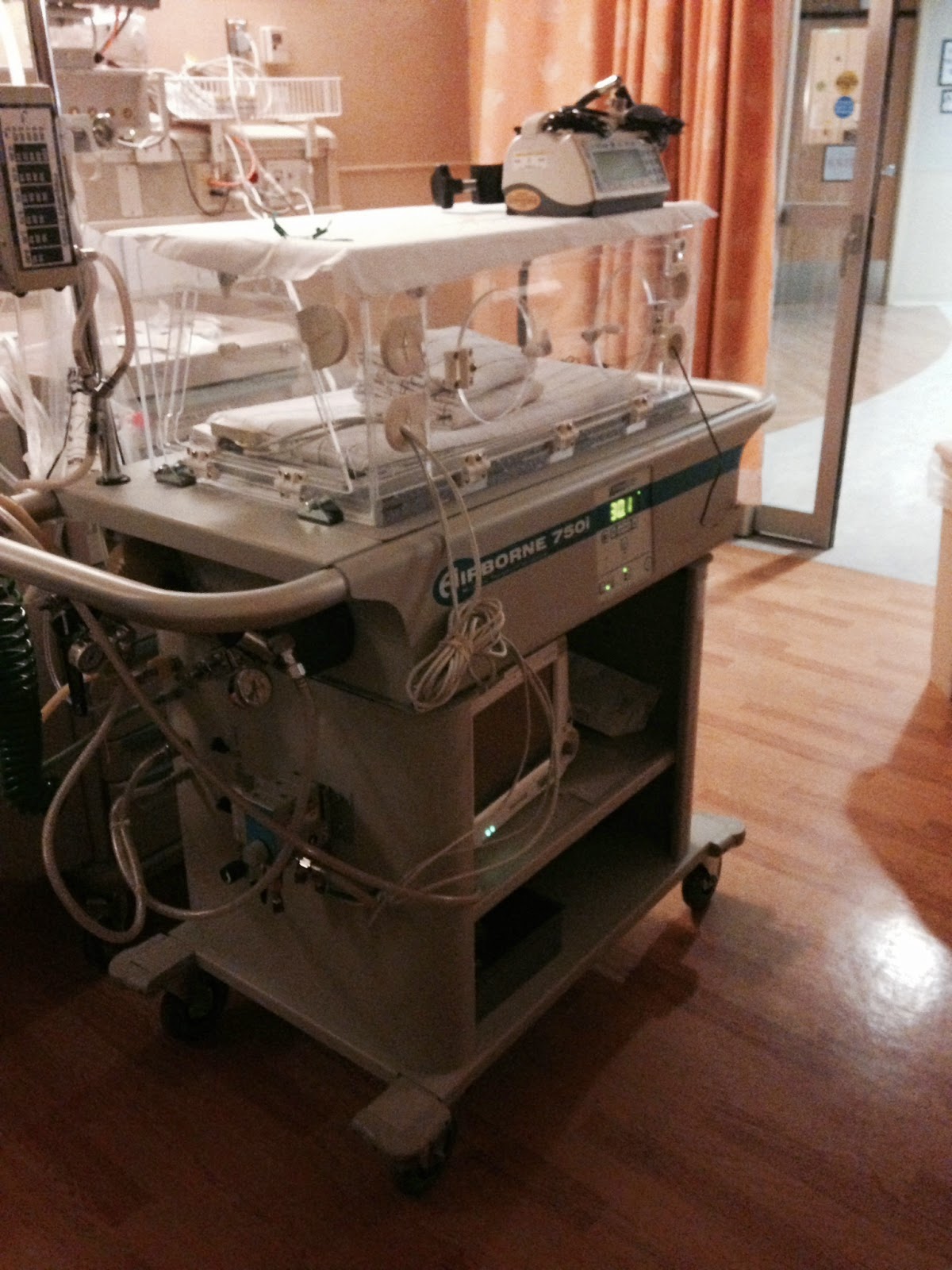 Natalie Rose - Daily Update of our Micro Preemie: PDA Ligation Surgery ...