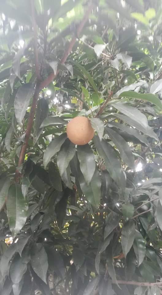 ©simplypetitay: The best journey will always take you to HOME.