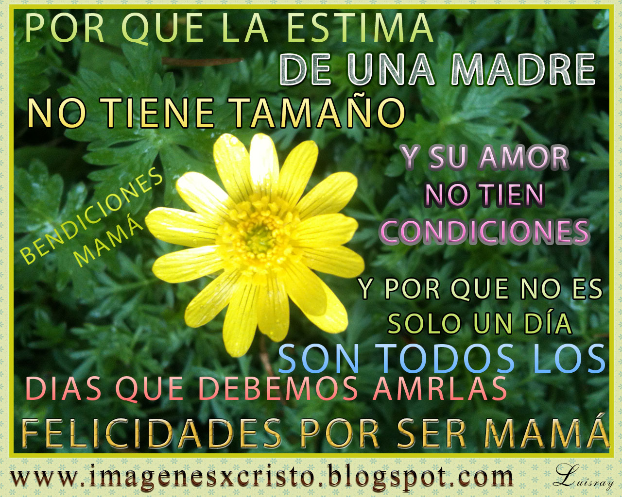 Felicidades Mamá!!!