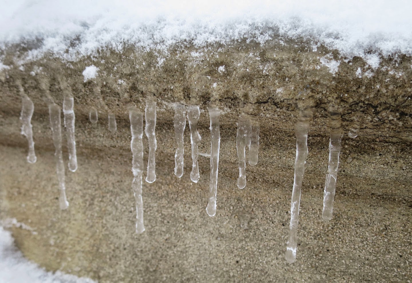 66 Square Feet (Plus): Harlem winter