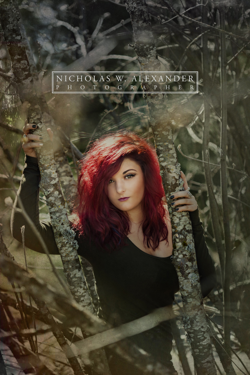 Nicholas W. Alexander Photographer Blog