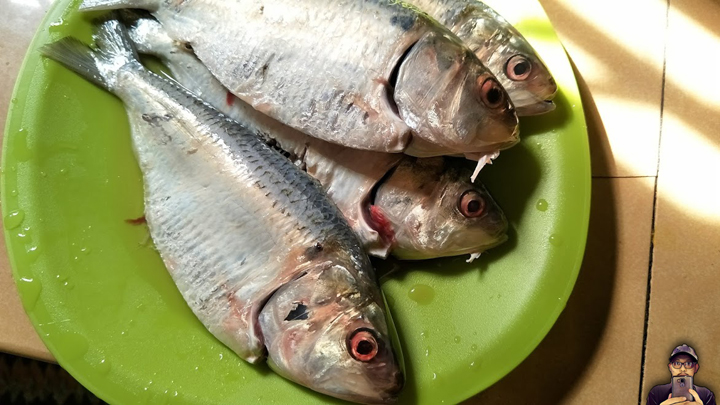 Ikan Terubok Sedap Digulai Kari