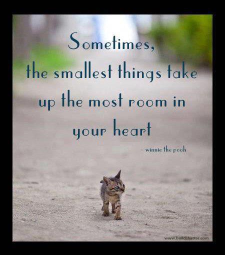 Oh My Freaking Stars!: Smallest Things