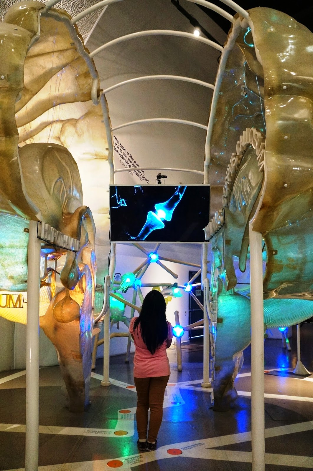 The Mind Museum: An Awesome Family Bonding Experience with Science and ...