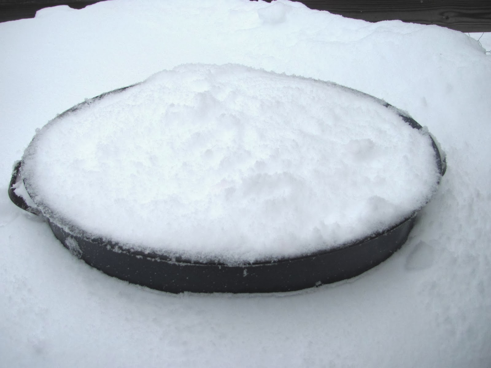 Elaine's Creative Works: Making Maple Syrup snow candy taffy