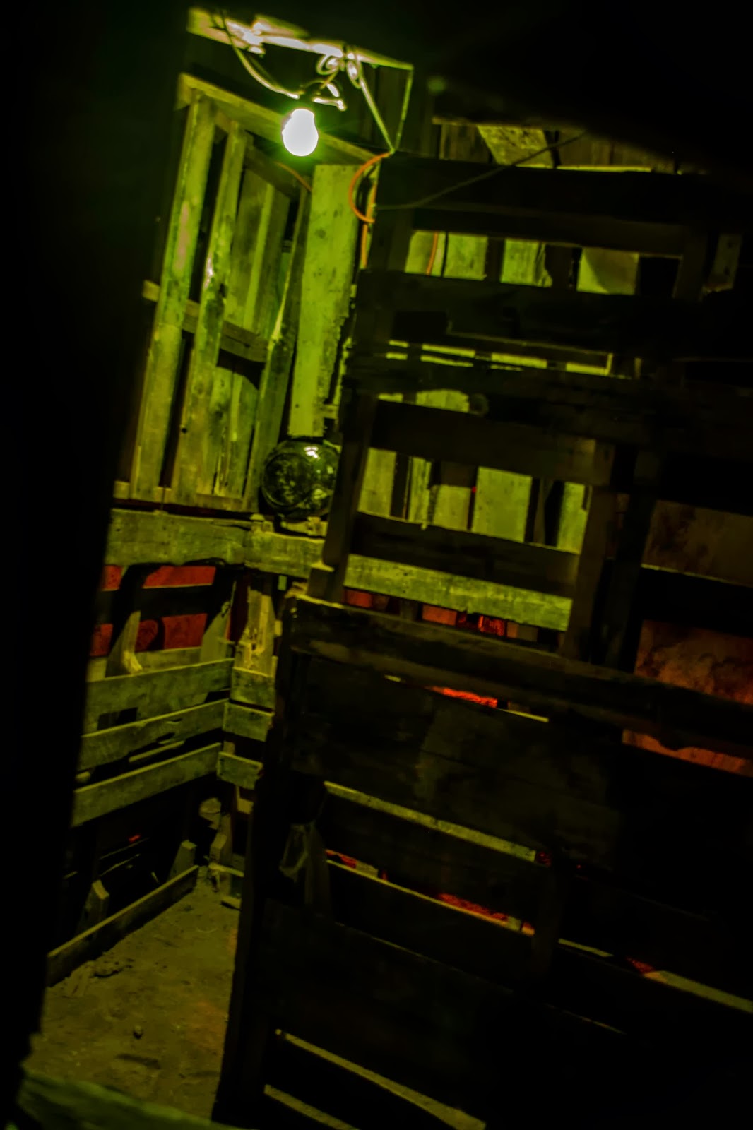 Something wicKED this way comes....: Sneak Peek into The Backwoods ...