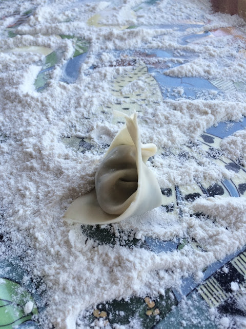 Fried Hun Tun (Won Tons)