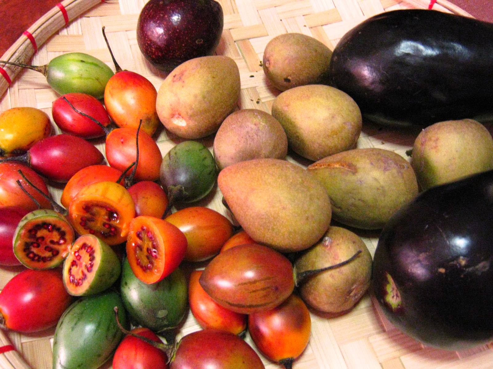 D' Kitchen Bitchen: Pan Grilled Salmon with Spanish Tomato Salsa