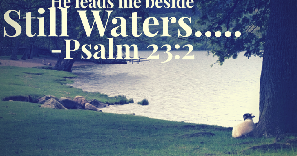 Growing Up In The Word : Still Waters