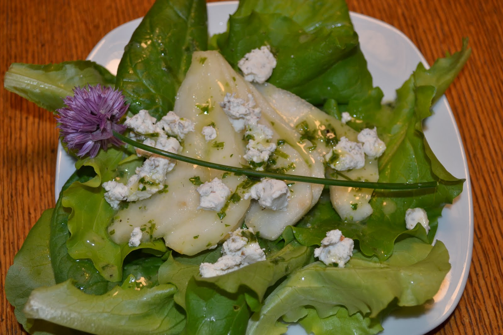 Kitchen Catharsis: Welcome to My Garden...Lettuce Eat Some Salad