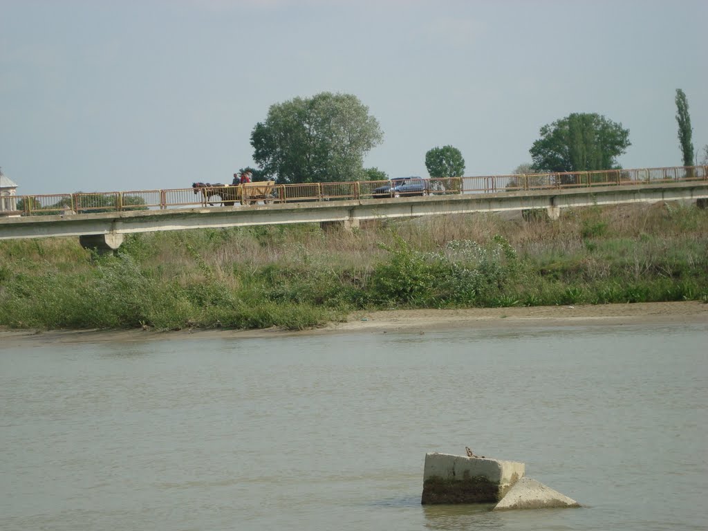 Popa Marius Claudiu - Fotografii: Poze Comuna Falcoiu - Judetul Olt