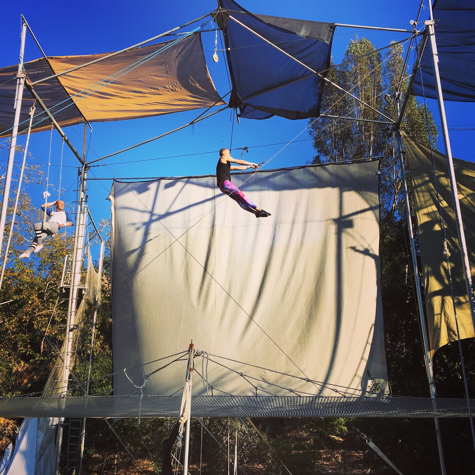 Sensory Overload: Trapeze High Show (Turnarounds and Whips)