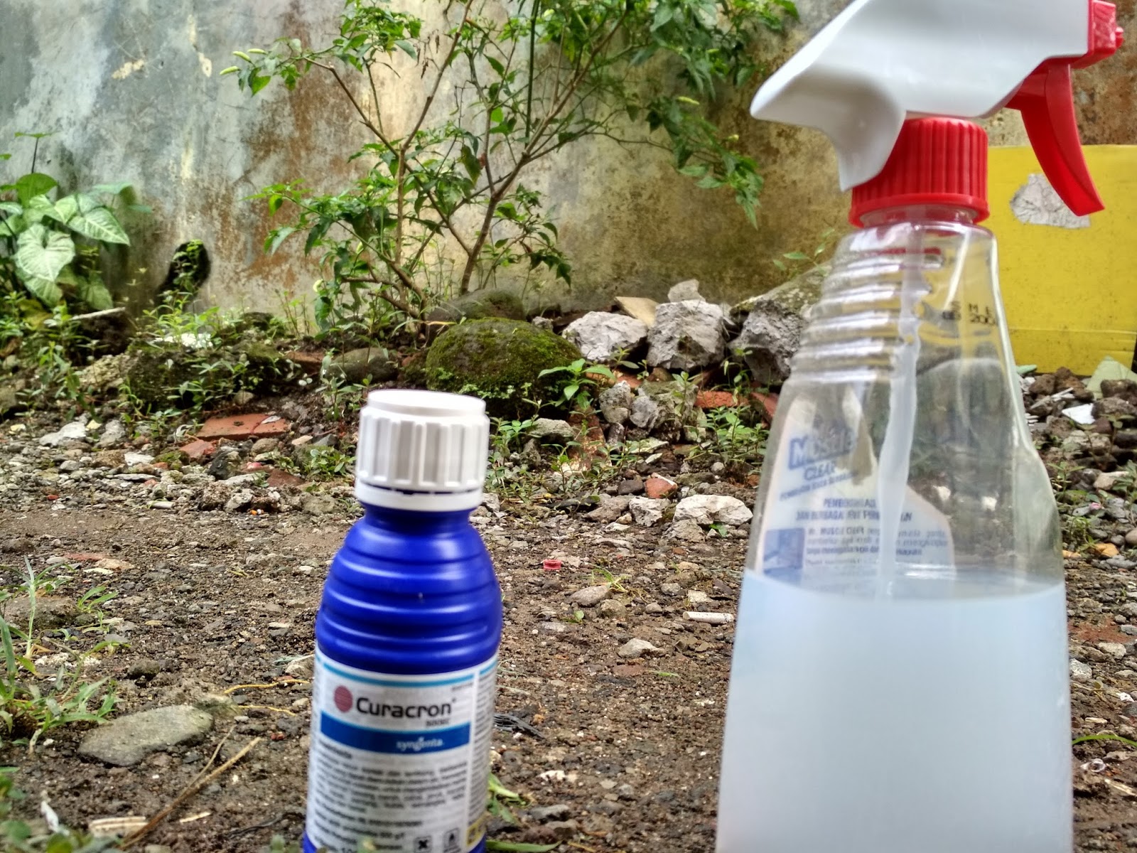 Sejarah Pestisida dan Aplikasi Penggunaannya