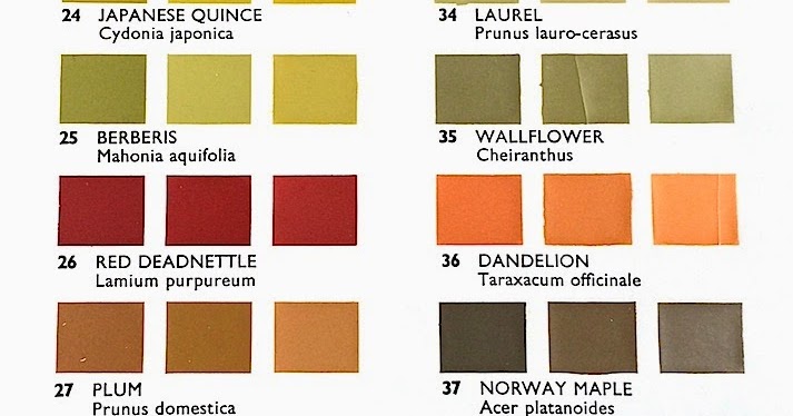 Jot101: Pollen charts