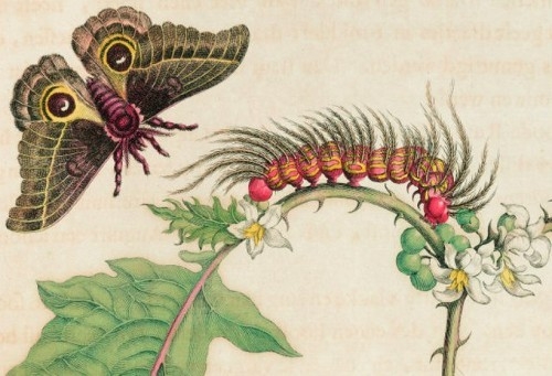 Art Now and Then: October 2012