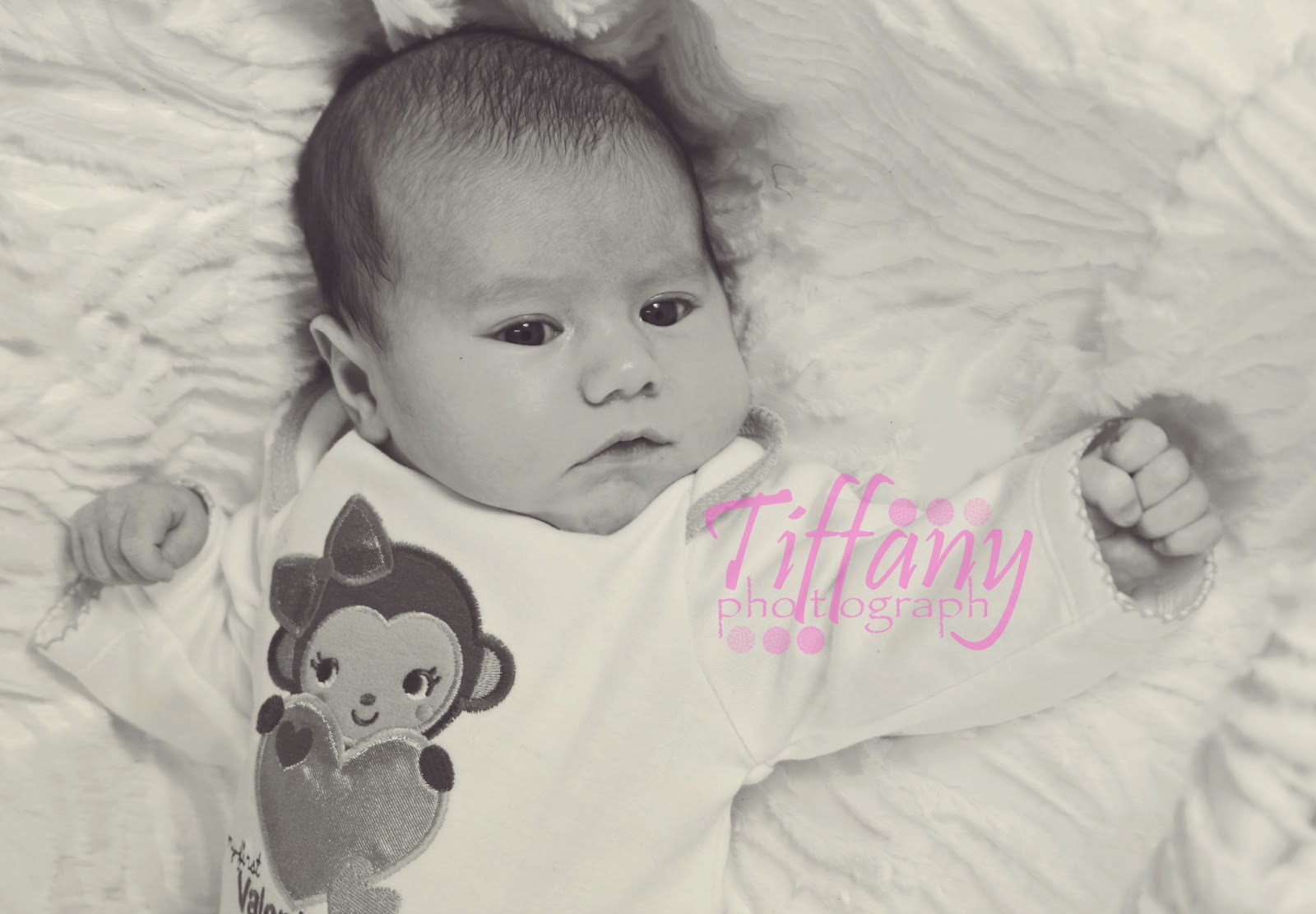 ~Tiffany Photography~