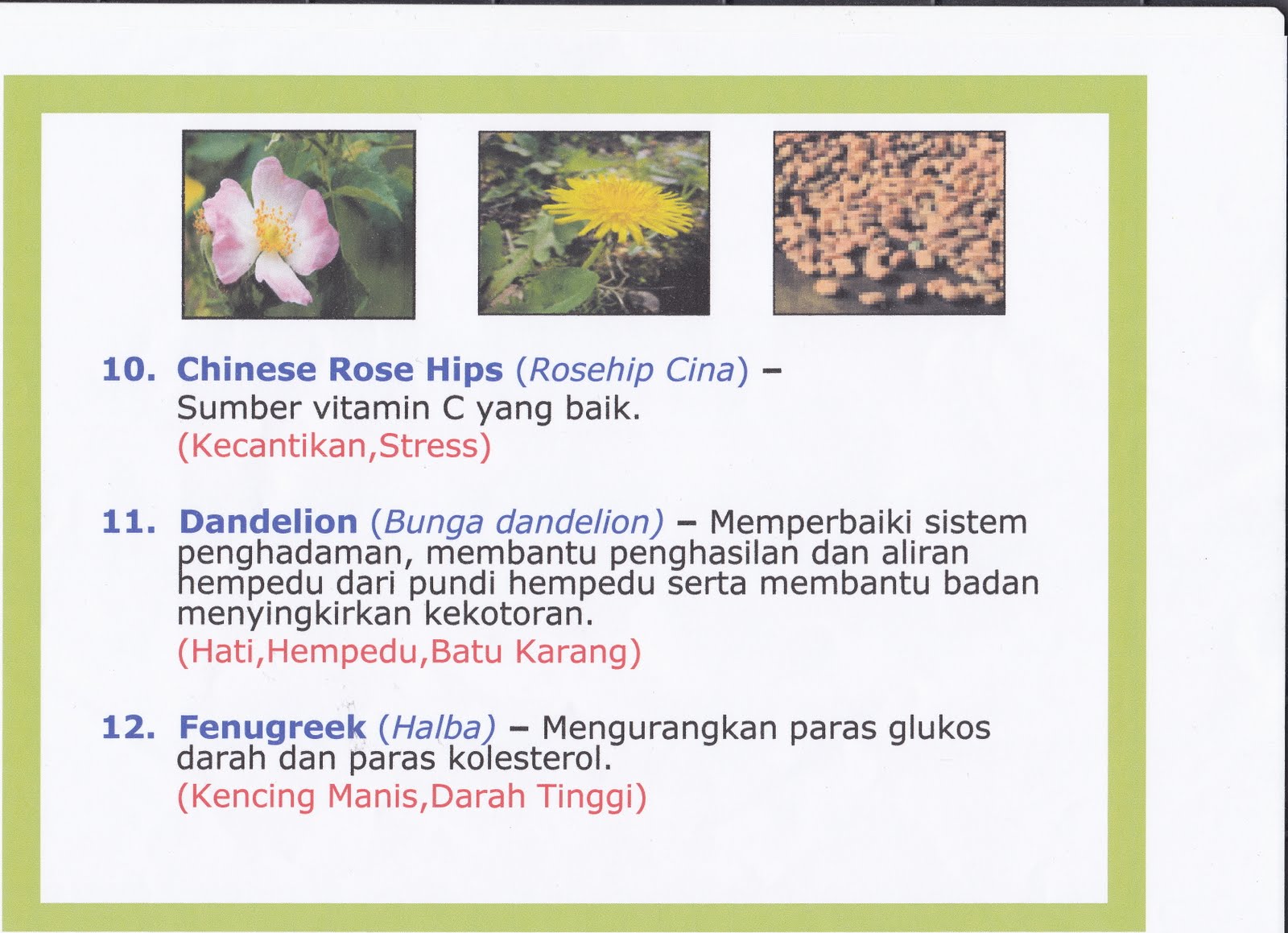JusPenawarHerba: NAMA HERBA FUNGSINYA