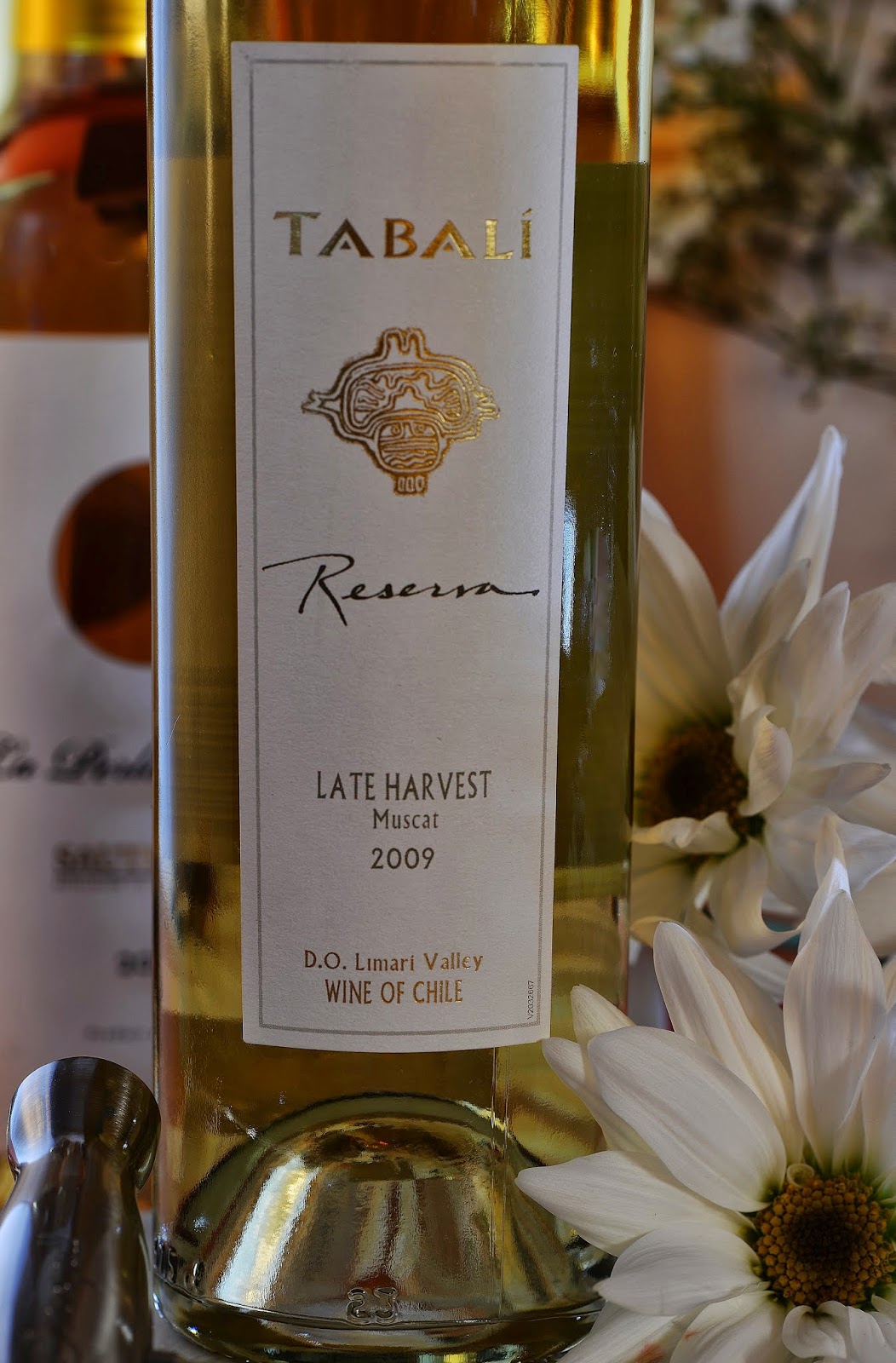 New Hampshire Wine-man: Tabali Winery, Limari Valley, Chile, 2009 ...