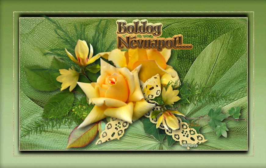 Kata képtára: Névnapra képeslapok