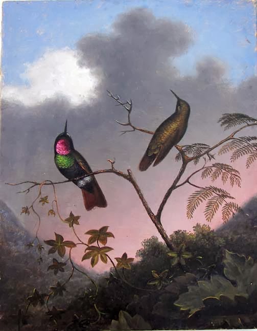 Martin Johnson Heade | Prolific Painter | 1819-1904