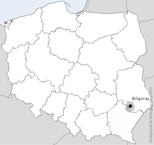 lamus dworski: Biłgoraj costume - a guide to Polish folk costumes