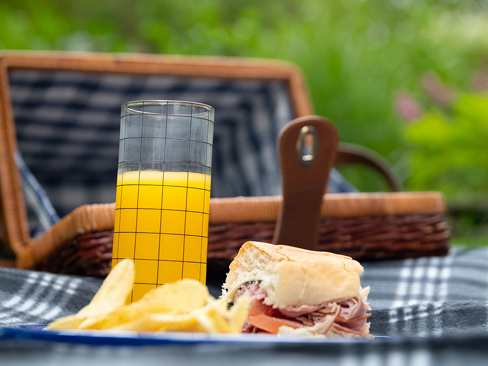 {outfit} A Spring Picnic | Closet Fashionista