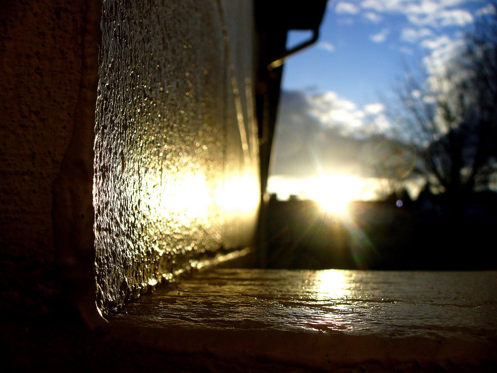 Pilot Rock HS Photography: Sun Corner by Brooke