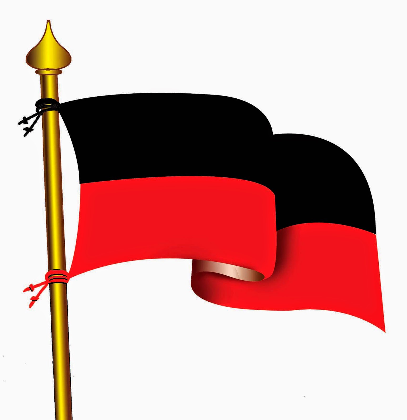 Dmdk Party Flag