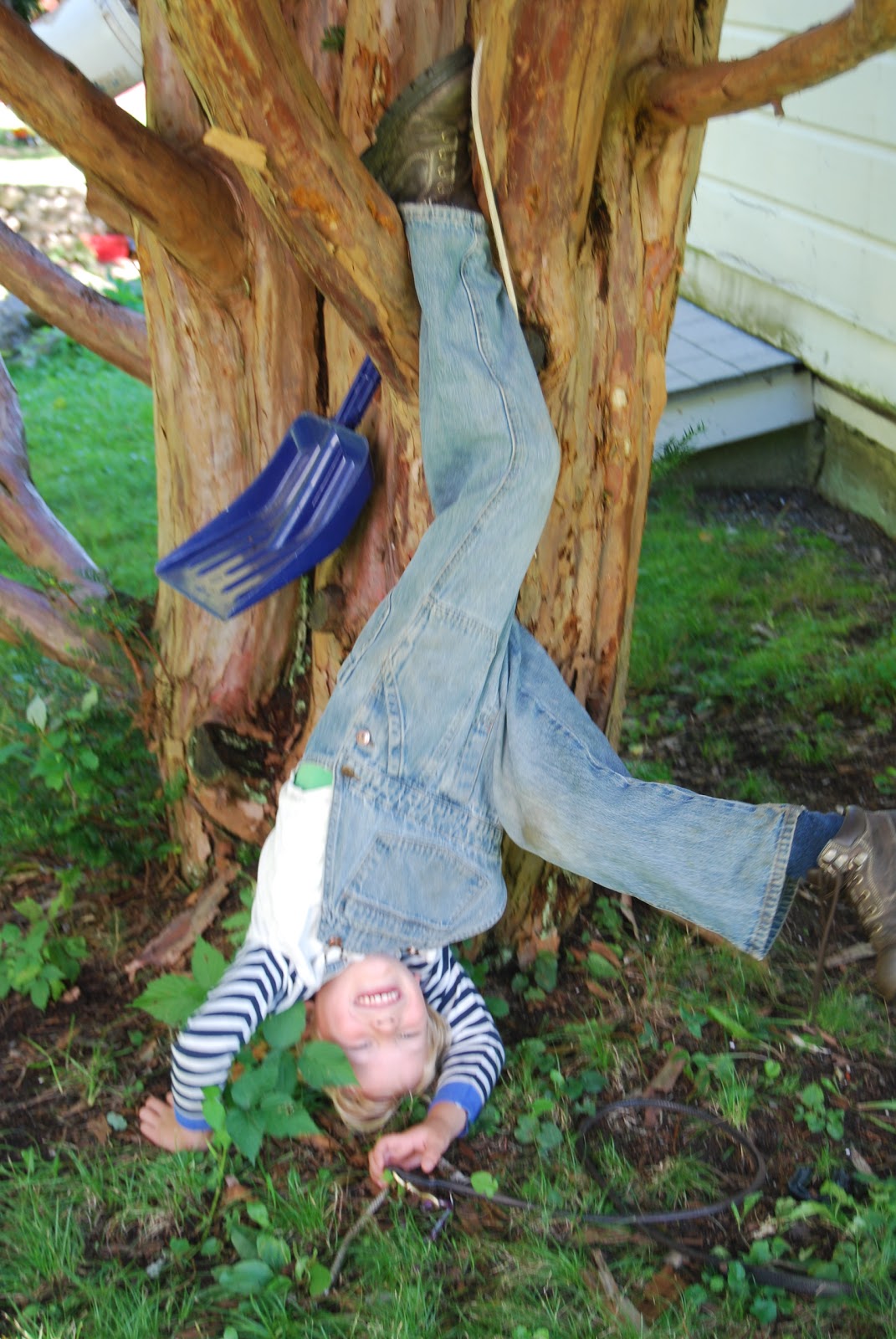 Climbing Tree Farm: Climbing Tree Farm Accident