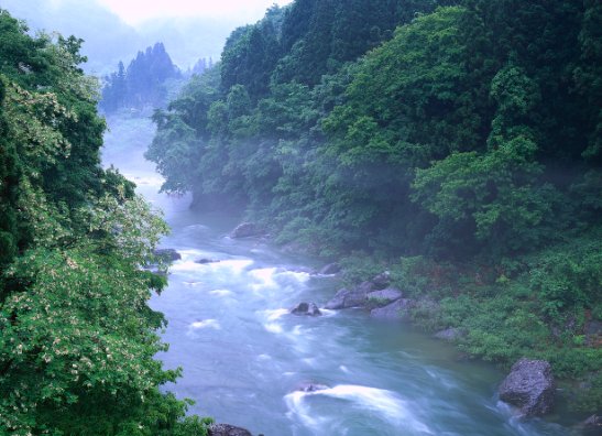 Natural Images |Nature Wallpapers