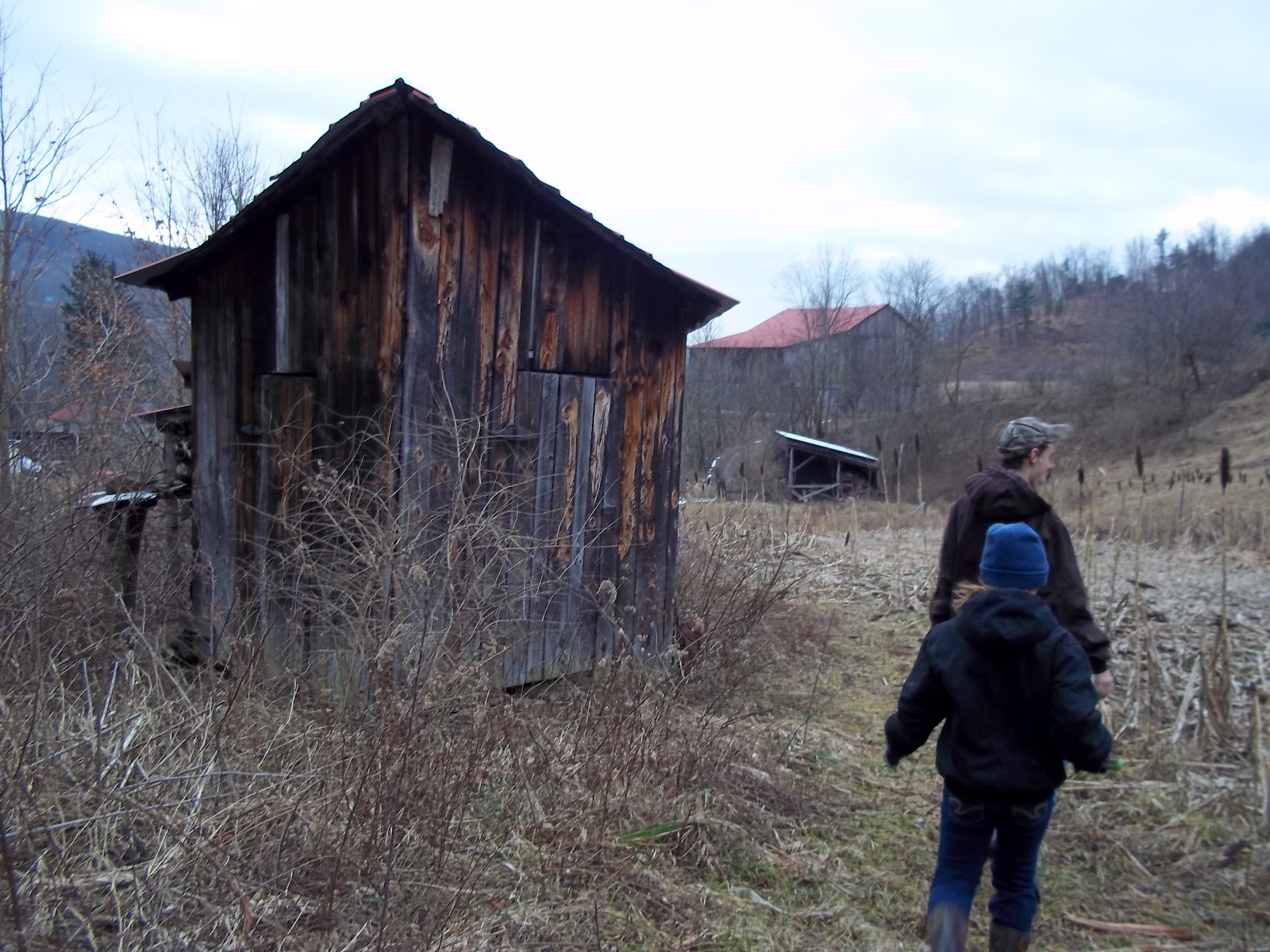 Creative Cottage: maple syrup