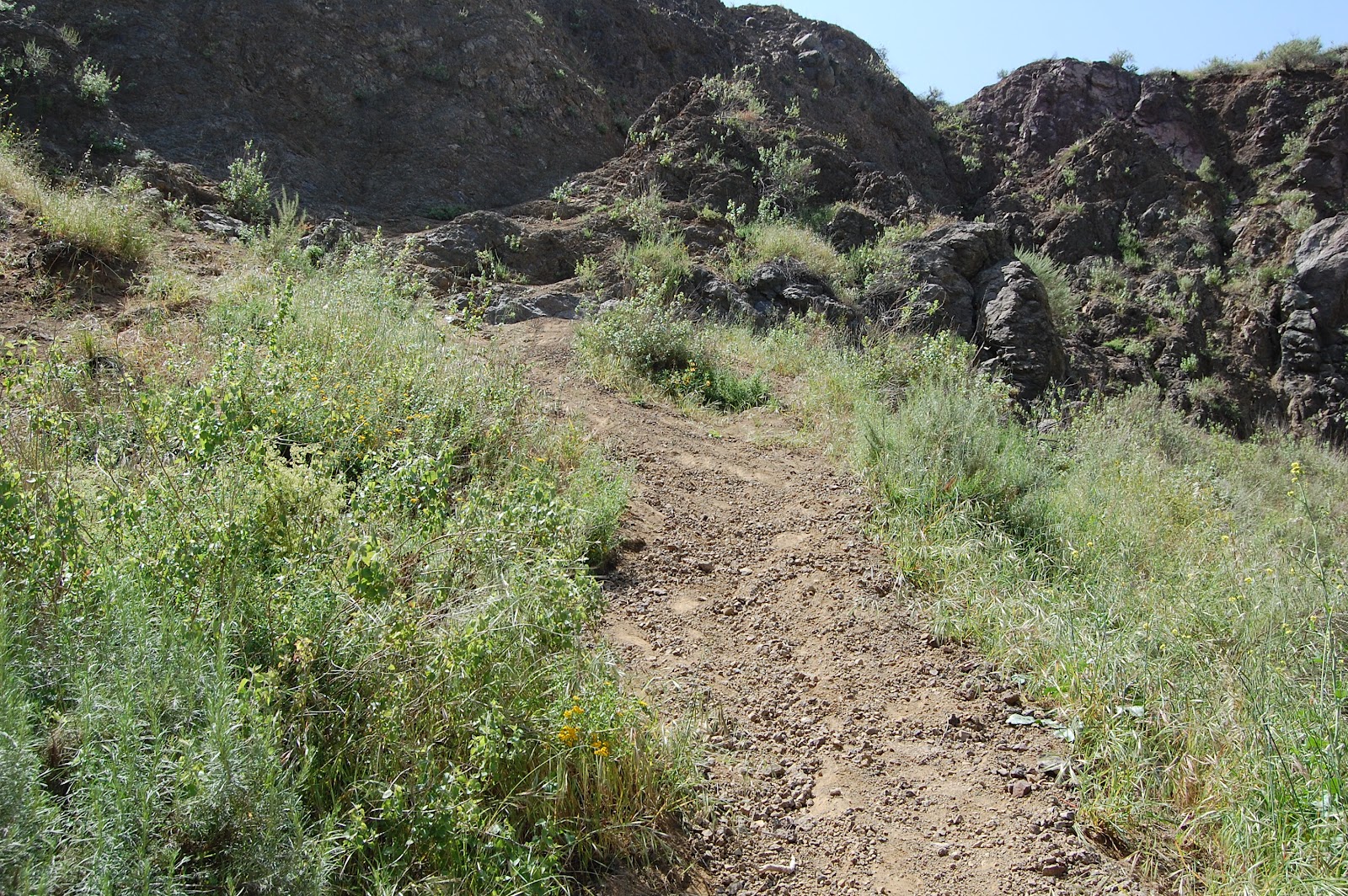 Hiking Bronson/Brush Canyon Trail | East West Hike