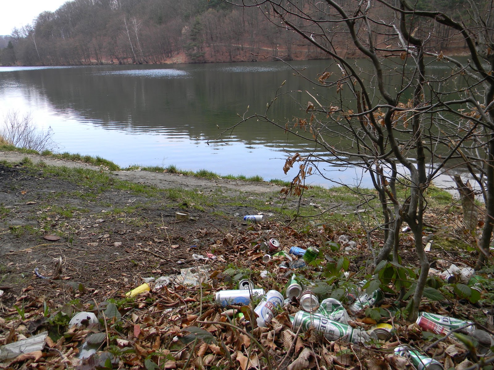 Blog de Calatorii si Drumetii Montane.: Lacul de la Codlea ,jud.Brasov ...