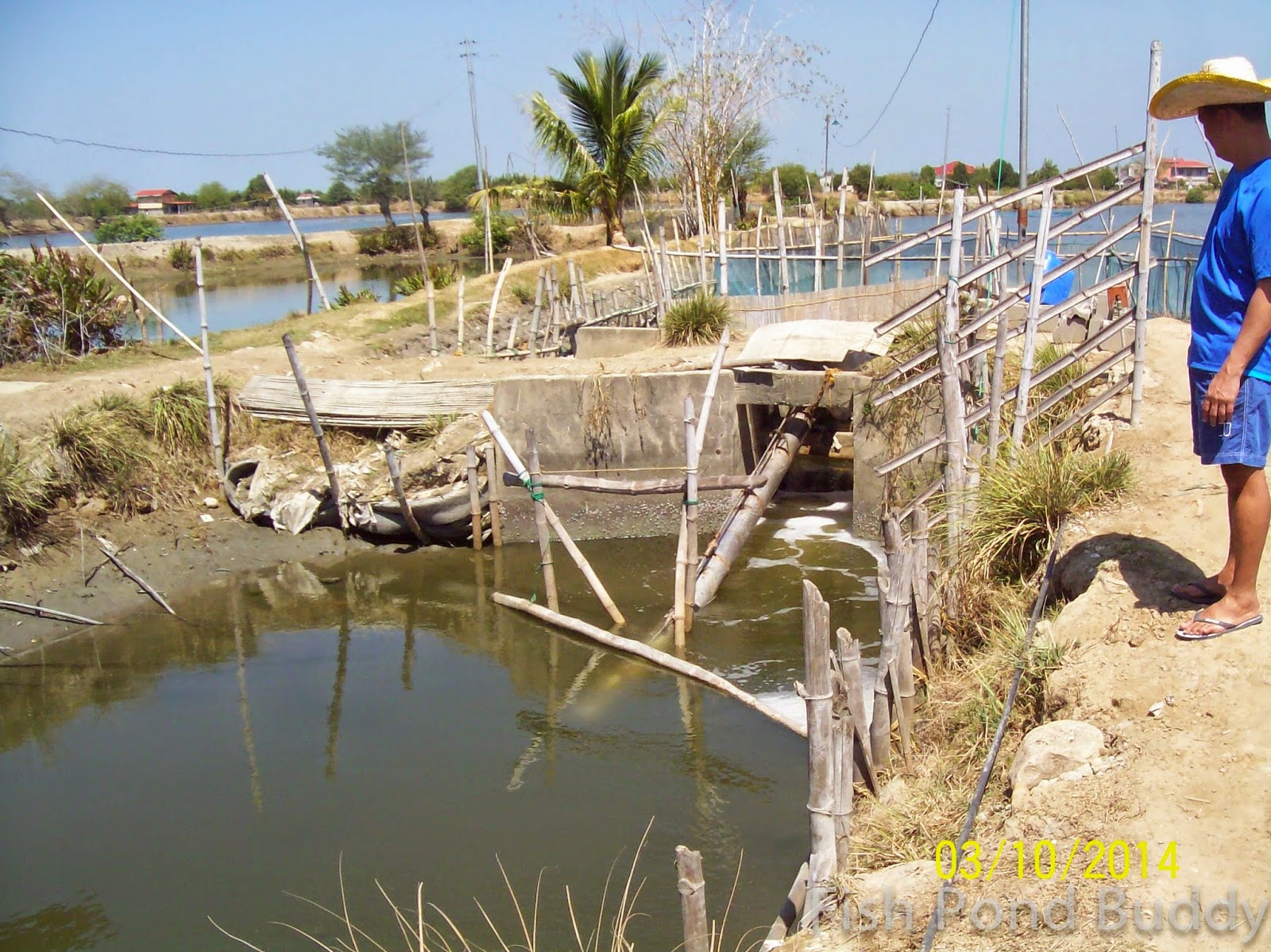 Fish Pond Buddy: Features of a Class A Bangus Pond