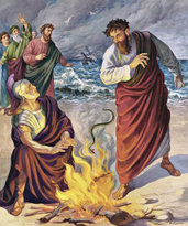 versbíblica: Paul shook the snake off into the fire