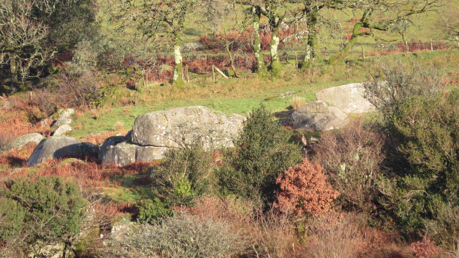 Max Piper - Tor Bagger: Dartmoor: The Tors on Walkhampton Common (Revisit)