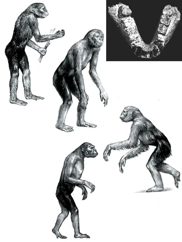 FE BÍBLICA: Los Orígenes Humanos