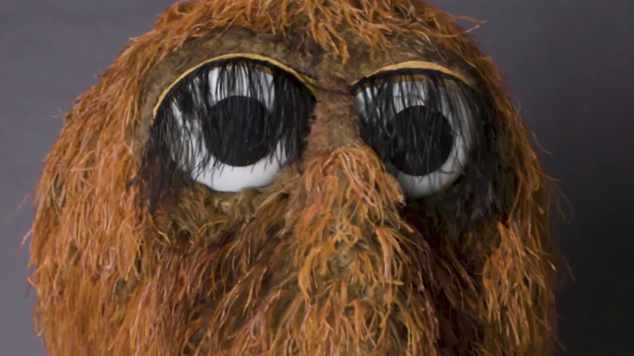 Mr. Snuffleupagus