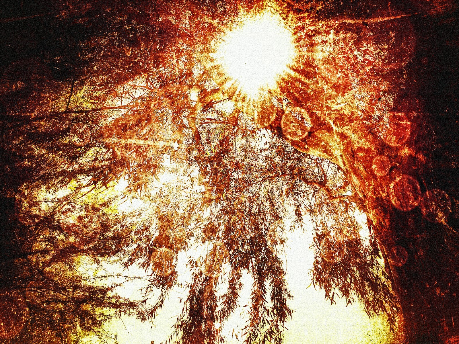 JR Snyder Jr: Sun Beaming