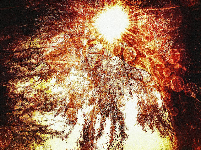 JR Snyder Jr: Sun Beaming